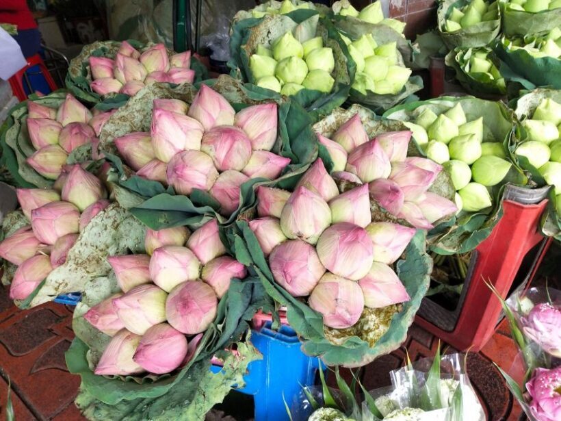 Bangkok:4Hour Flower Market and Little India Tour Mini Group - Authentic Experiences and Practical Tips