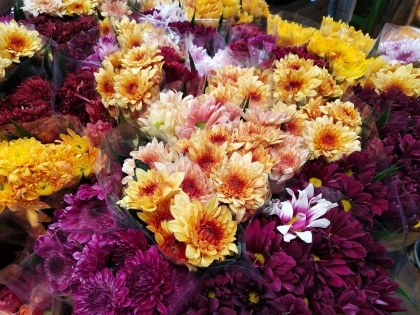 Bangkok:4Hour Flower Market and Little India Tour Mini Group - The Sum Up