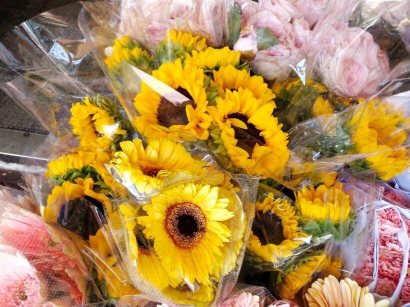 Bangkok:4Hour Flower Market and Little India Tour Mini Group - FAQ