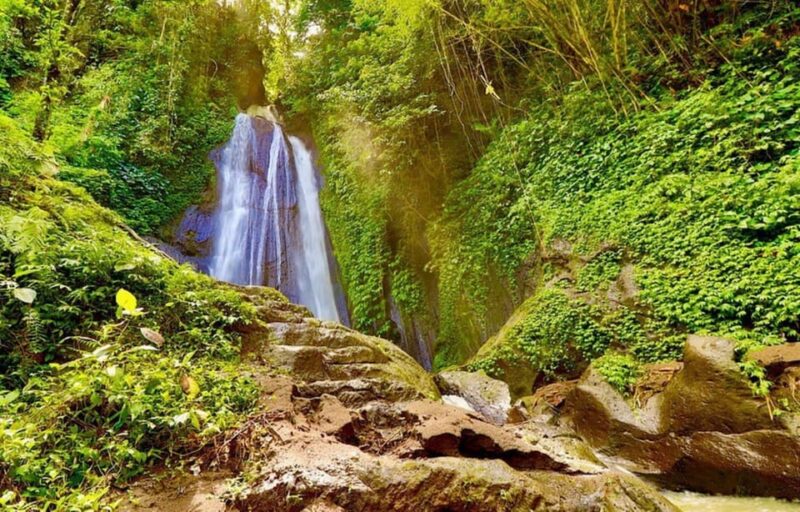 Bangli Hidden Gems: Waterfall Tour - Who Is This Tour Best For?