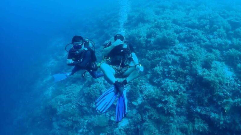 Bantayan Island: Discover Scuba Diving - Final Thoughts