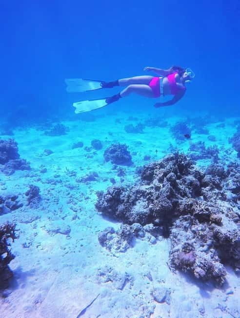 Bantayan Island: Fundive Freediving Excursion - Key Points
