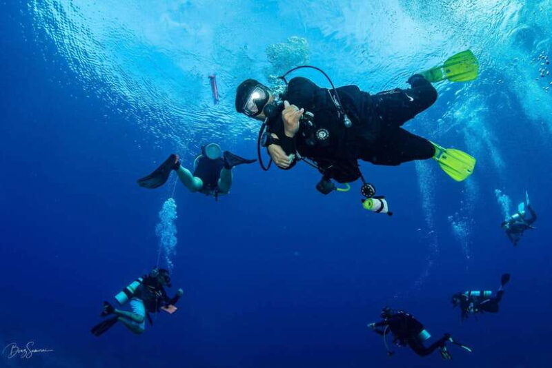 Bantayan Island: Fundive Scuba Adventure - Who Should Consider This Tour?