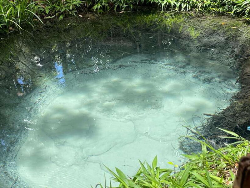 Banteay Srei, Kulen Waterfall & Beng Mealea Small-Group Tour - The Day in Action: What to Expect