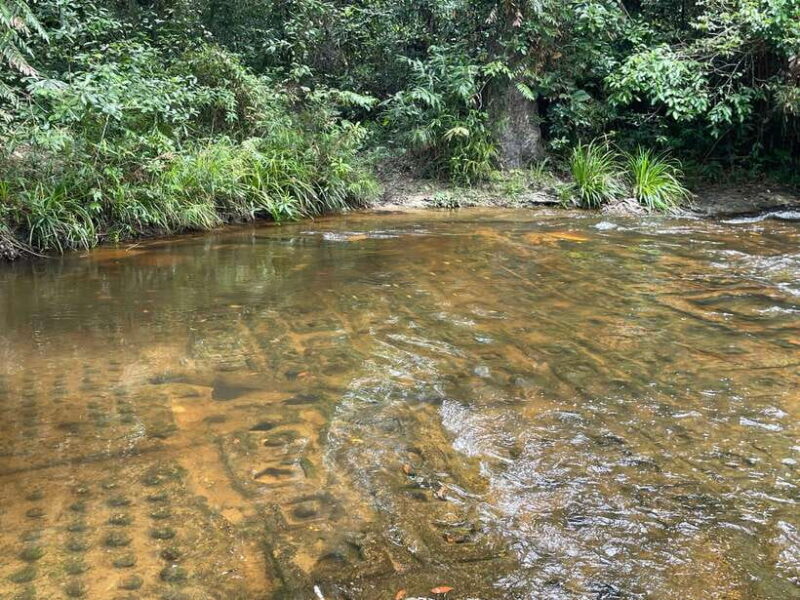 Banteay Srei, Kulen Waterfall & Beng Mealea Small-Group Tour - Authentic Interactions and Local Flavor