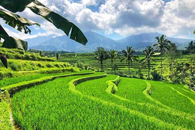 Banyumala Waterfall and Beratan Lake Temple Tours - The Sum Up