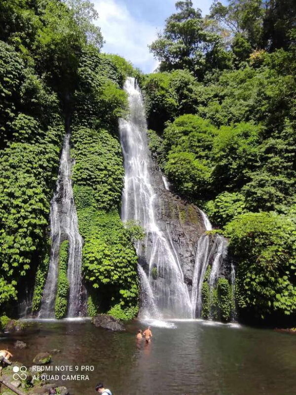Banyumala waterfall bali ; trekking in the jungle - Practicalities and Inclusions