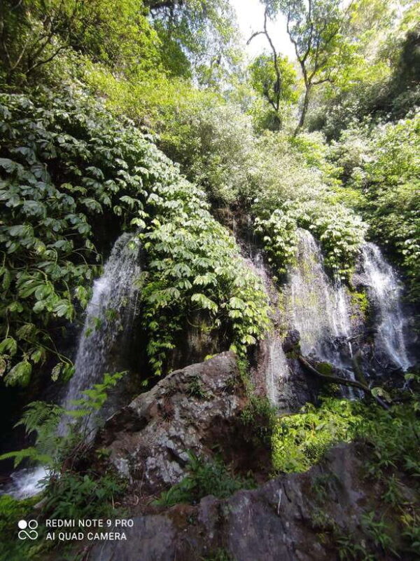 Banyumala waterfall bali ; trekking in the jungle - Authentic Balinese Nature Experience