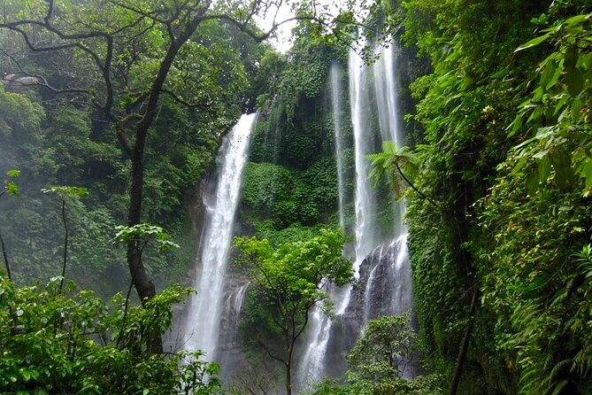 Banyuwana & Banyumala Waterfalls Tour (Private & All-Inclusive ) - Why Choose This Tour?