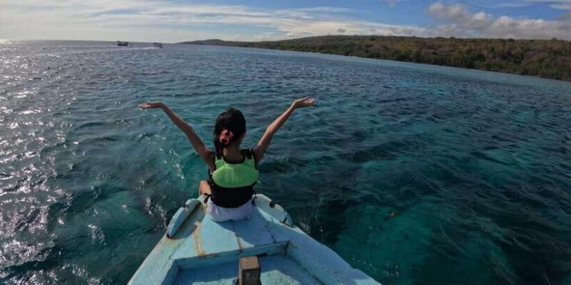 Banyuwangi: 1 Day Tour Snorkeling & Explore Menjangan Island - Price and Value Consideration