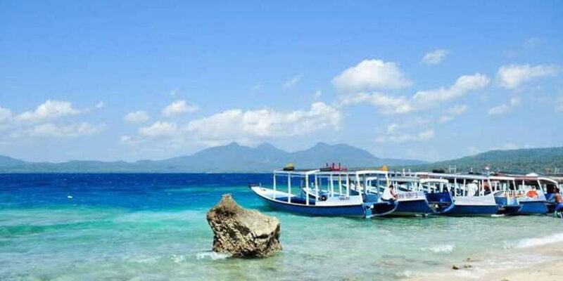 Banyuwangi: 1 Day Tour Snorkeling & Explore Menjangan Island - Practical Tips for Travelers