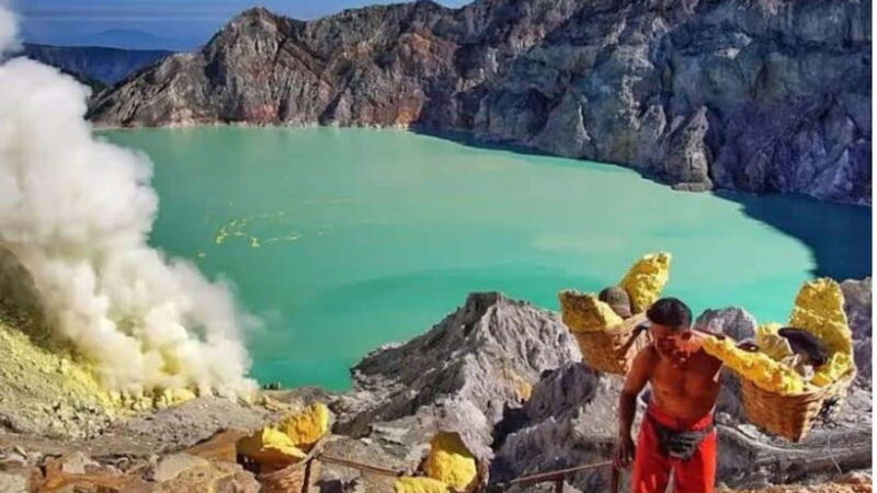 Banyuwangi: 2-Day Adventure with Baluran National Park - Banyuwangi: 2-Day Adventure with Baluran National Park