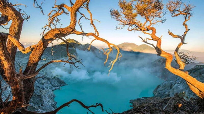 Banyuwangi: 2-Day Adventure with Baluran National Park - Overall Value and Who it’s Best For