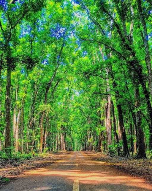 Banyuwangi: 2-Day Adventure with Baluran National Park - FAQs