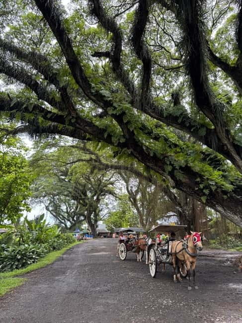 Banyuwangi: Djawatan Forest & Baluran National Park Tour - An In-Depth Look at the Tour