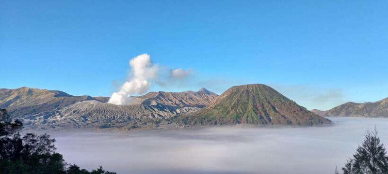 Banyuwangi : explore to ijen bluefire + Bromo sunrise - Day 3: Bromo Sunrise and Return