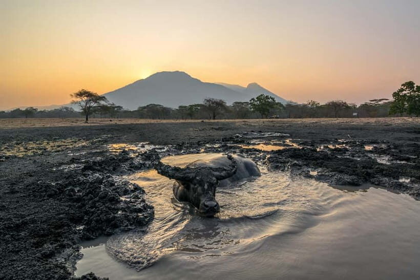 Banyuwangi: Ijen, Baluran, and Watu Dodol 2-Day Tour - Practical Details and Value