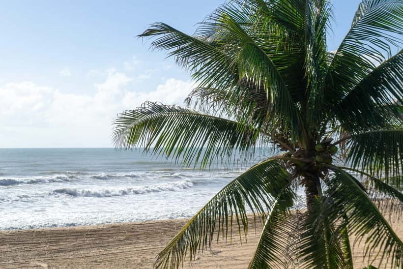 Banyuwangi: Ijen, Baluran, and Watu Dodol 2-Day Tour - Why This Tour Is Worth Considering