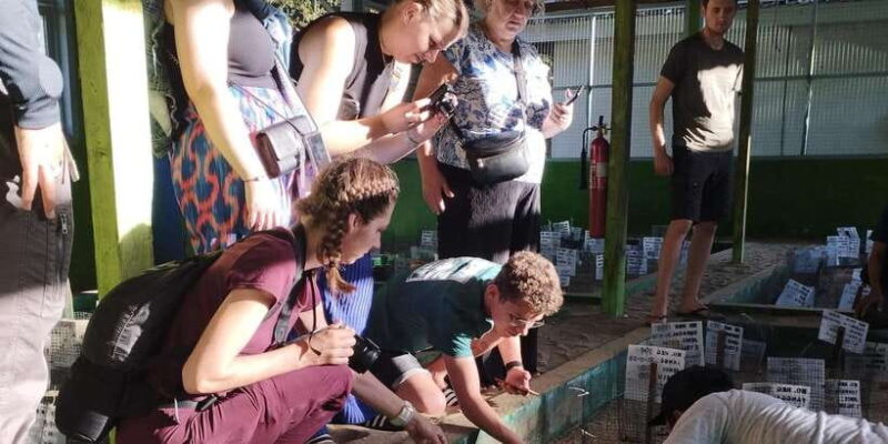 Banyuwangi: Sukamade Beach Turtle Conservation 2-Day Tour - Key Points