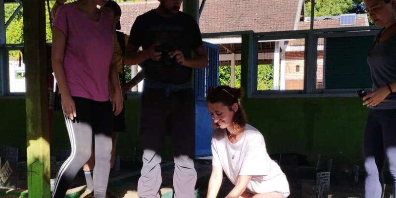 Banyuwangi: Sukamade Beach Turtle Conservation 2-Day Tour - Who Will Love This Tour?