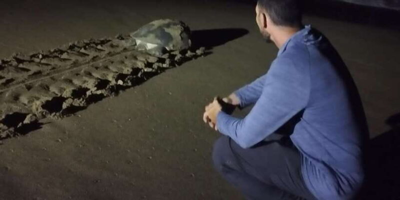 Banyuwangi: Sukamade Beach Turtle Conservation 2-Day Tour - Final Thoughts