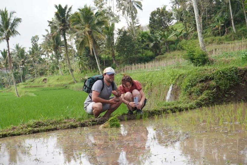 Banyuwangi: Village Walking Tour with Lunch & Coffee - An In-Depth Look at the Banyuwangi Village Walking Tour