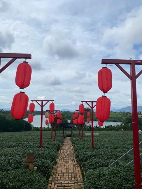 Bao Loc: Cloud Hunting and City Exploration Tour - FAQ
