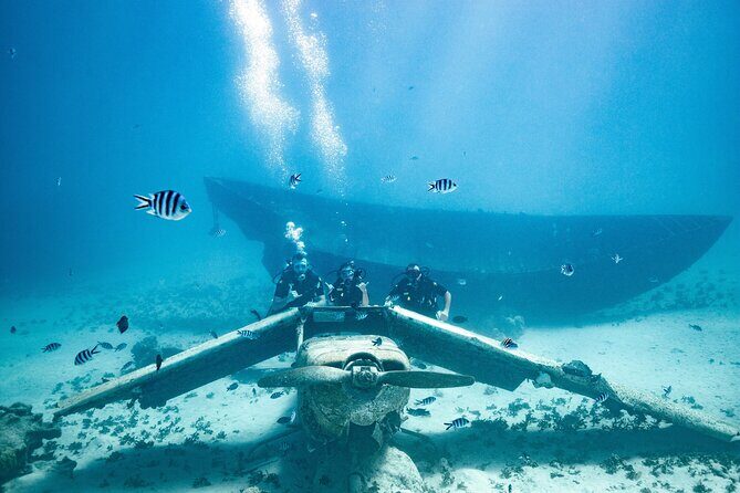 Baptism diving in the turquoise waters of Tahiti - Who Should Consider This Experience?