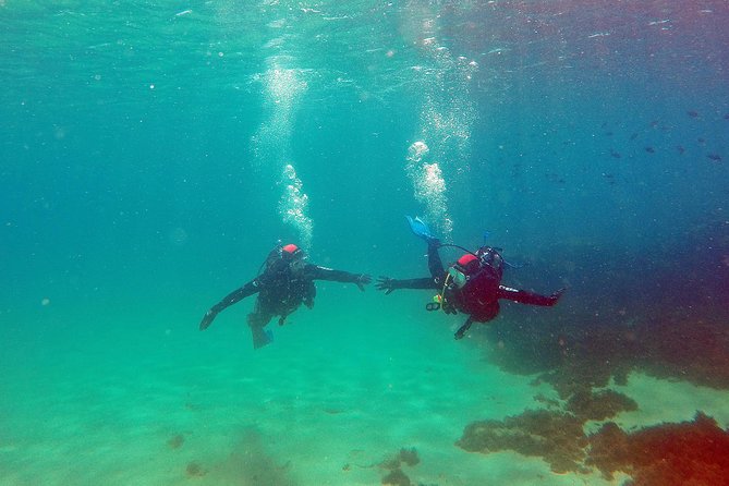 Baptism of Diving in the Natural Park of the Strait - Frequently Asked Questions