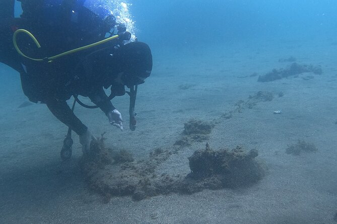 Baptism of Scuba Diving in a Shipwreck on Terceira Island - Professional Scuba Diving Training and Safety