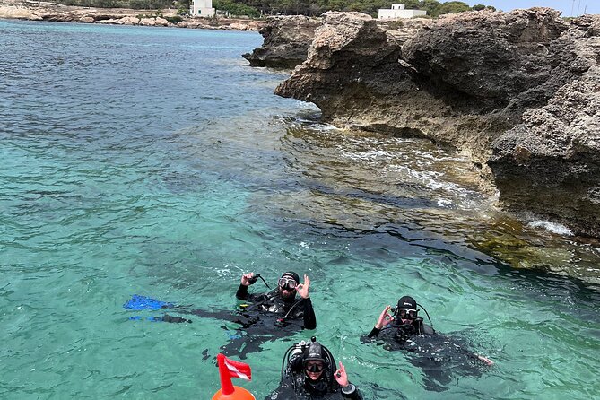 Baptism of the Sea in Favignana - Try Scuba diving - Baptism of the Sea in Favignana – Try Scuba Diving: An Authentic Underwater Introduction