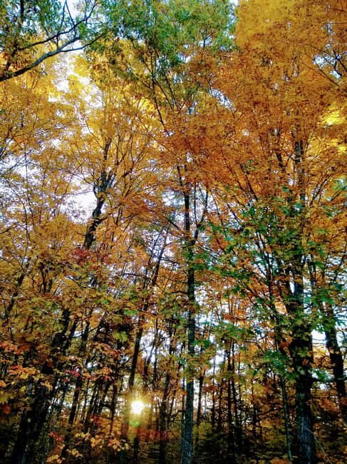Bar Harbor: Acadia National Park Autumn Leaf Private Tour - Discover the Beauty of Acadia with the Autumn Leaf Private Tour