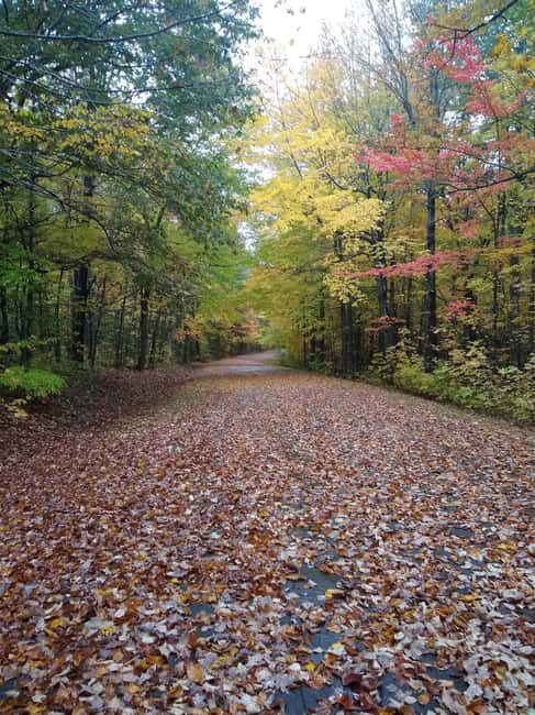 Bar Harbor: Acadia National Park Autumn Leaf Private Tour - Practical Tips for Booking and Enjoying the Tour