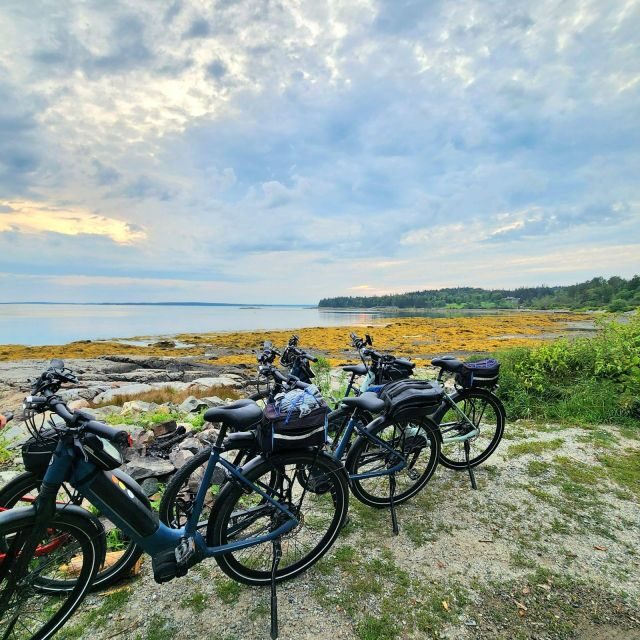 Bar Harbor: Acadia National Park Carriage Roads Ebike Tour - The Itinerary in Detail