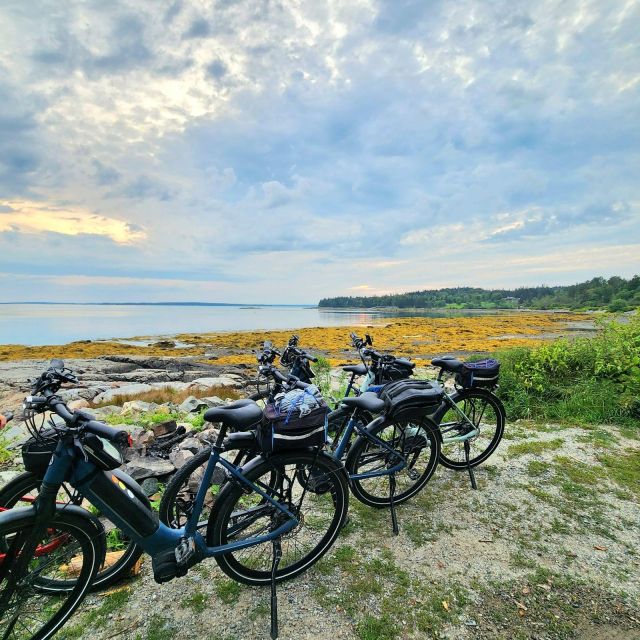 Bar Harbor: Acadia National Park Carriage Roads Ebike Tour - The Highlights That Make It Special