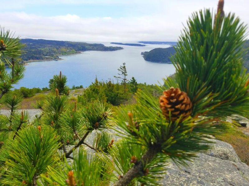 Bar Harbor: Acadia National Park Customizable Private Tour - FAQ