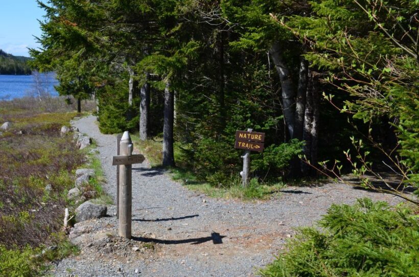 Bar Harbor: Acadia National Park Private Tour with Lunch - Discovering Acadia: What the Tour Offers