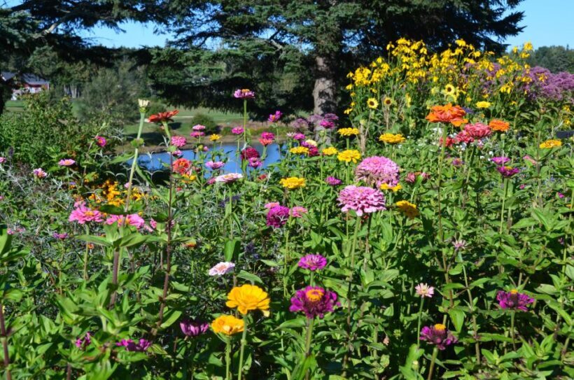Bar Harbor: Acadia National Park Private Tour with Lunch - Final Thoughts