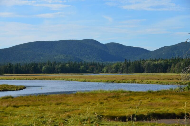 Bar Harbor: Acadia National Park Private Tour with Lunch - Authentic Experience and Authenticity