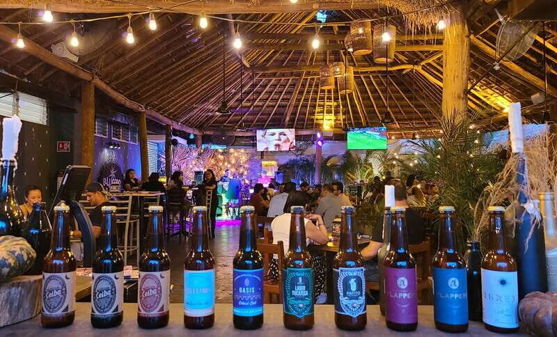 Bar Hopping Tour in Merida - Practical Details and Tips
