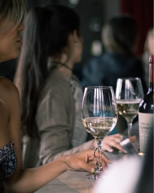 Bar Safari: 4 Best Mendozas Bars in 1 night. + Full Dinner - Key Points