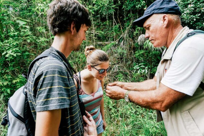 Barahona: La Plaza Waterfall Trek with Lunch & Transfers - Who Should Consider This Tour?