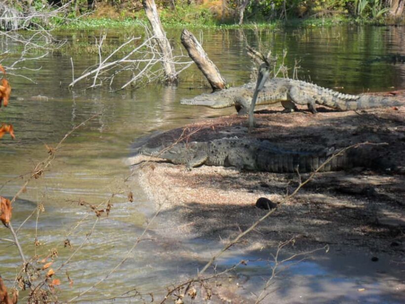 Barahona: Lake Enriquillo Discovery Tour - Key Points