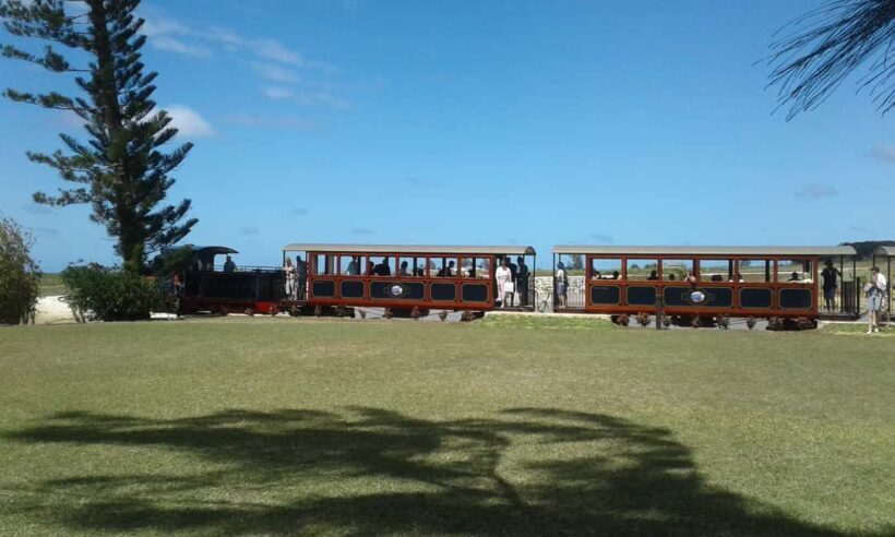 Barbados: 5.5-Hour Island Tour Plantation, Lunch and Drinks - Why This Tour Works
