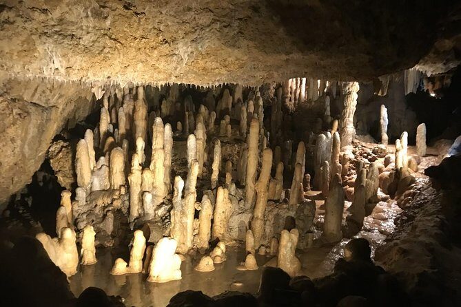 Barbados Amazing Full Day Private Rural Excursion - What Makes This Tour Stand Out