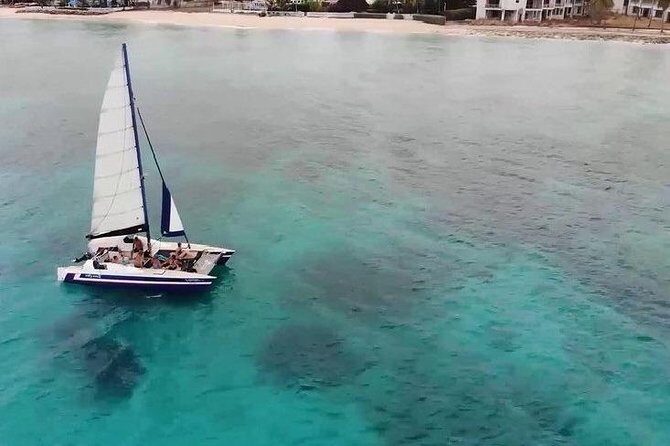 Barbados Catamaran Snorkel Cruise with Lunch and Open Bar - The Itinerary in Detail: What to Expect