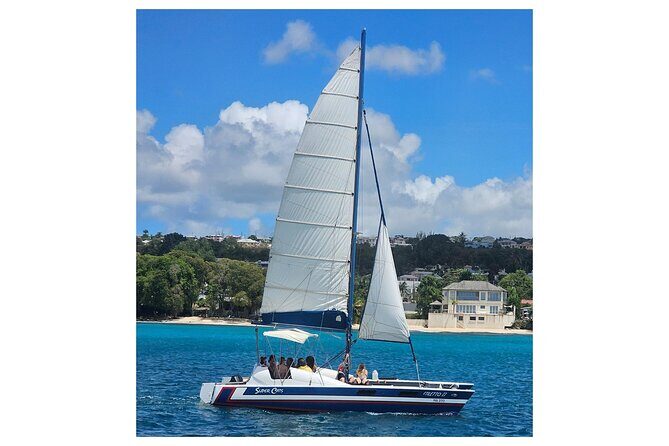 Barbados Catamaran Snorkel Cruise with Lunch and Open Bar - Who Will Love This Tour?