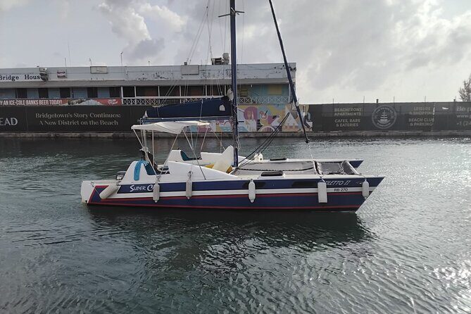 Barbados Catamaran Snorkel Cruise with Lunch and Open Bar - The Sum Up