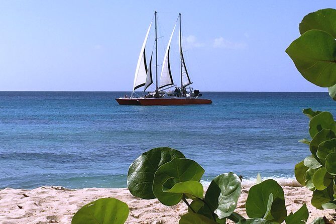 Barbados Catamaran Turtle and Shipwreck Snorkeling Cruise - The Value and Pricing