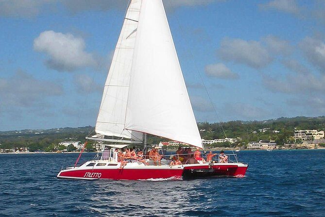 Barbados Catamaran Turtle Snorkel with Lunch and Open Bar - The Experience in Detail